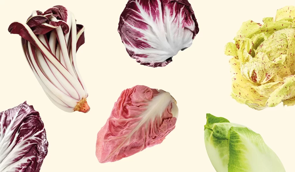 Come cucinare il radicchio: la guida completa per ogni varietà